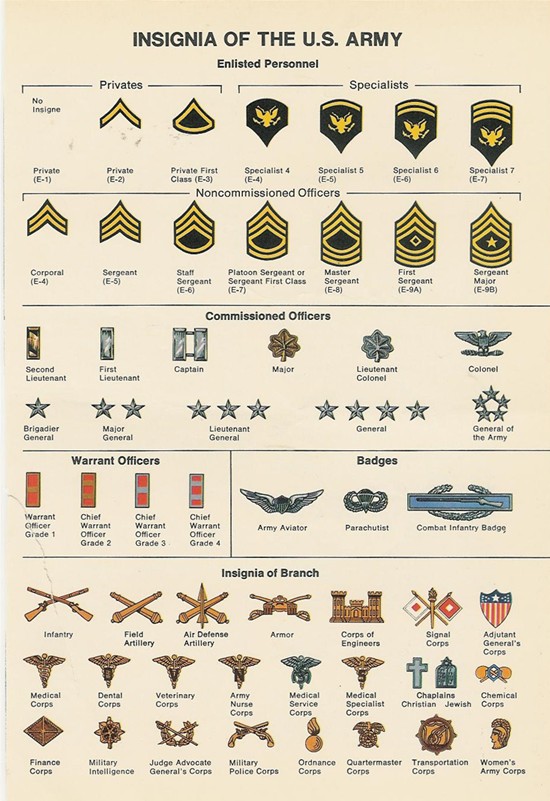 Qu n H m Trong Qu n i Army Ranks Qu n H m Trong Qu n i Army Ranks